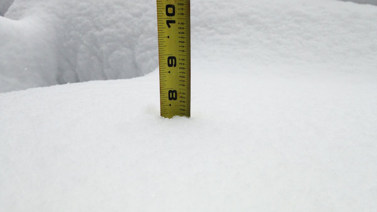 Cuánta nieve podría caer en Chicago e Indiana por paso de tormenta ...
