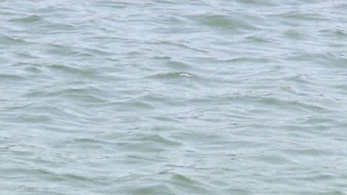 Indiana: Identifican víctimas de ahogamiento en el lago Michigan ...