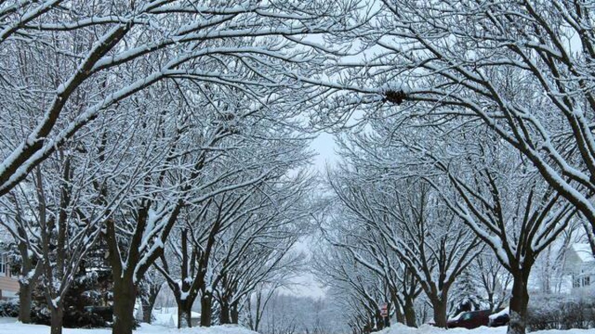 Tormenta invernal en Chicago: a qué hora caerá más nieve – Telemundo ...