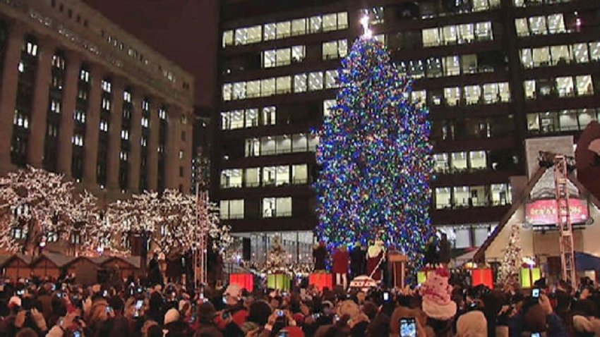 Chicago inicia búsqueda del perfecto árbol de Navidad – Telemundo Chicago