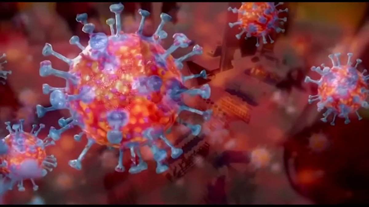 Ómicron XE: lo que sabemos sobre la variante híbrida de COVID-19 ...