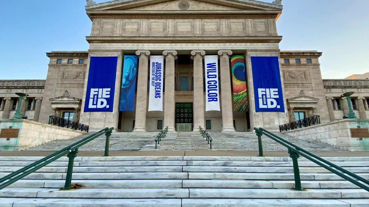 Museo Field dará entradas gratis a residentes de Chicago en 2024 ...