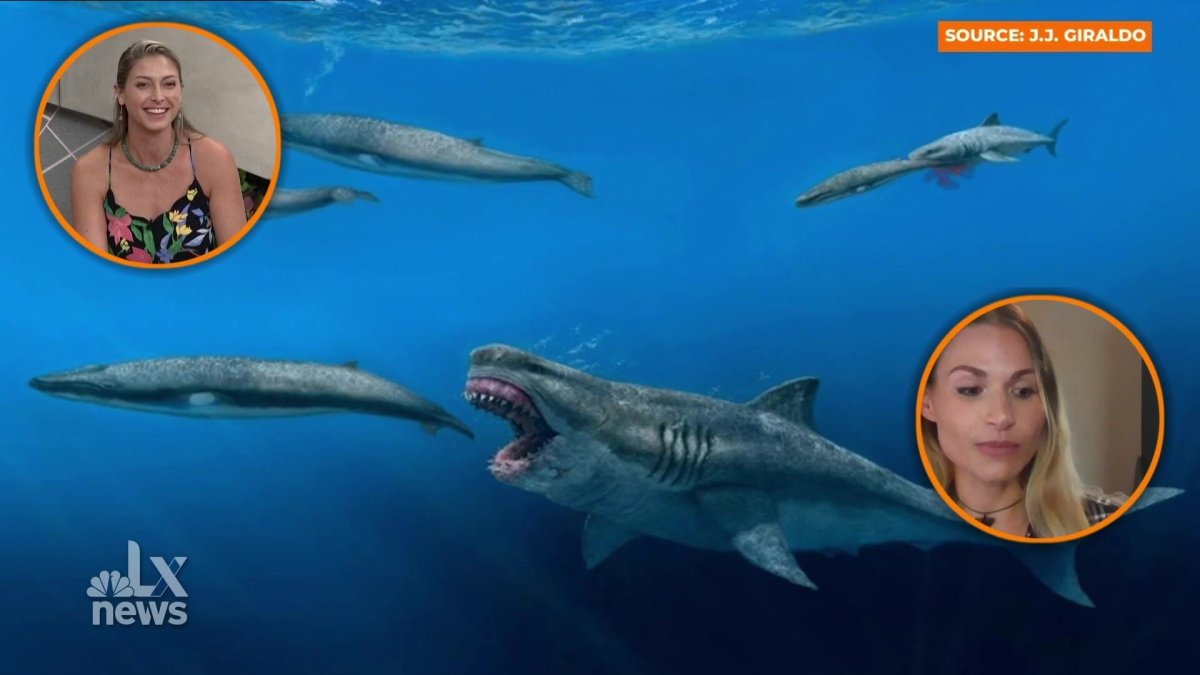 Scientists Used Fossil Evidence to Create a 3D Model of the Largest ...