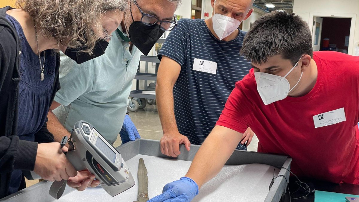 Exhibirán espada de la Edad del Bronce en el Field Museum – Telemundo ...