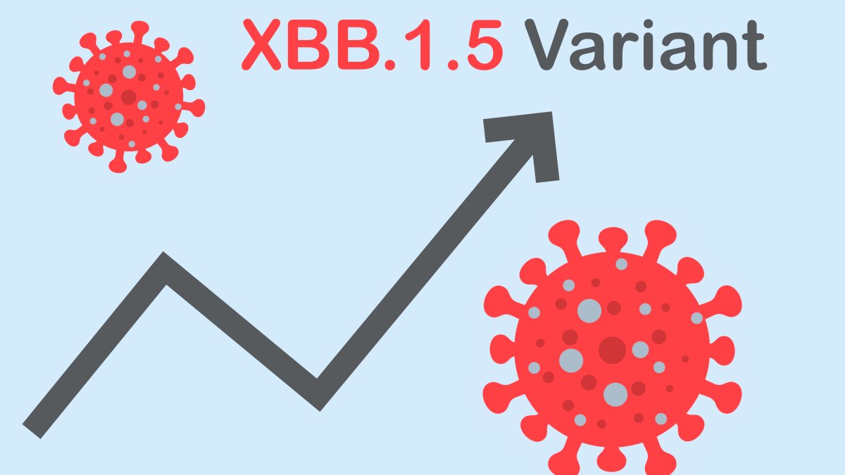 ¿Qué es la variante “Kraken”? Lo que se sabe sobre la nueva variante ...