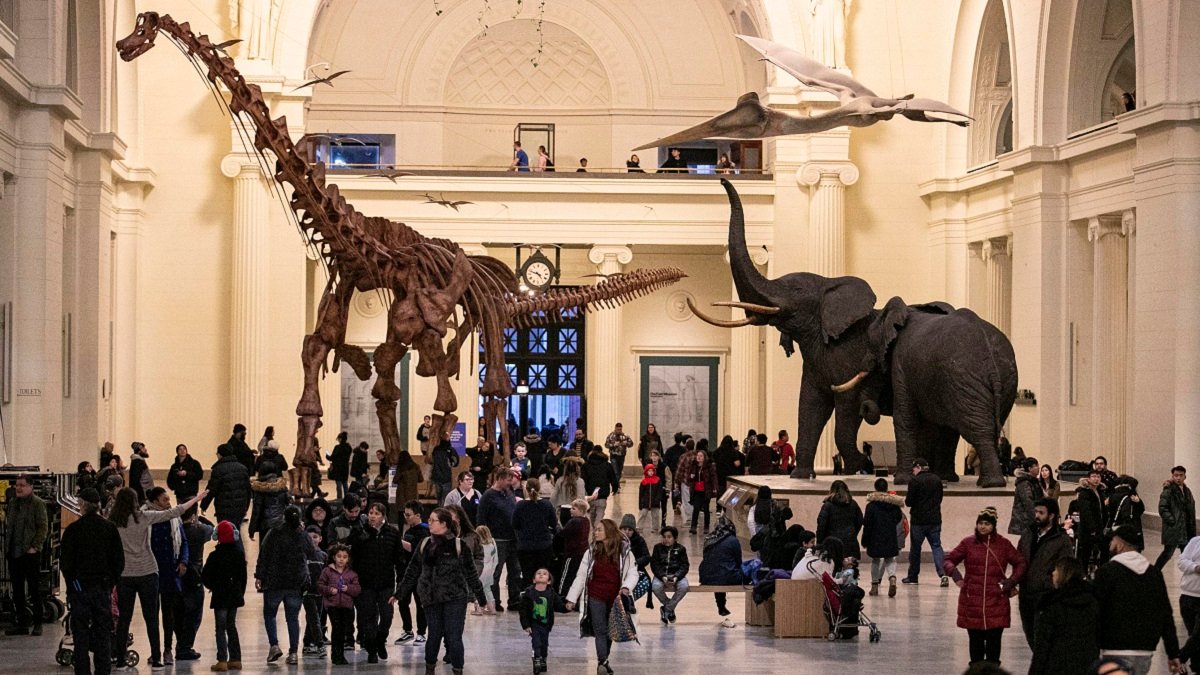 Museos de Chicago con entrada gratis en febrero – Telemundo Chicago