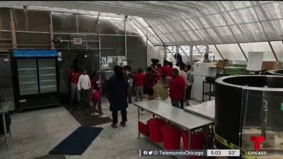 Telemundo Chicago – Noticias, El Tiempo y Entretenimiento de Chicago ...