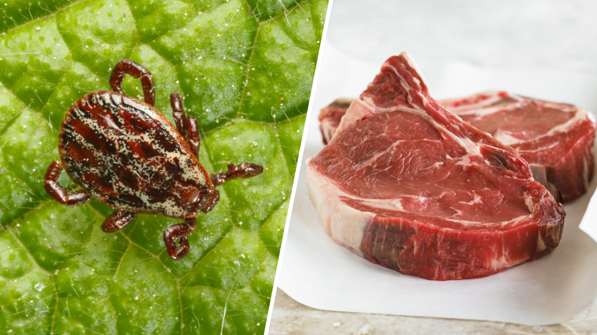 Qué debes saber de la alergia a la carne causada por garrapatas ...