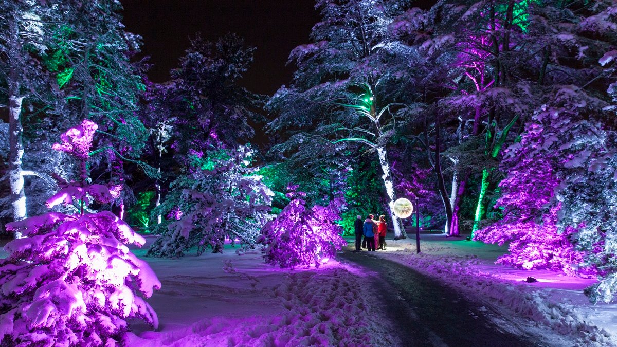 14 eventos festivos de Chicago para los que necesita reservaciones ...