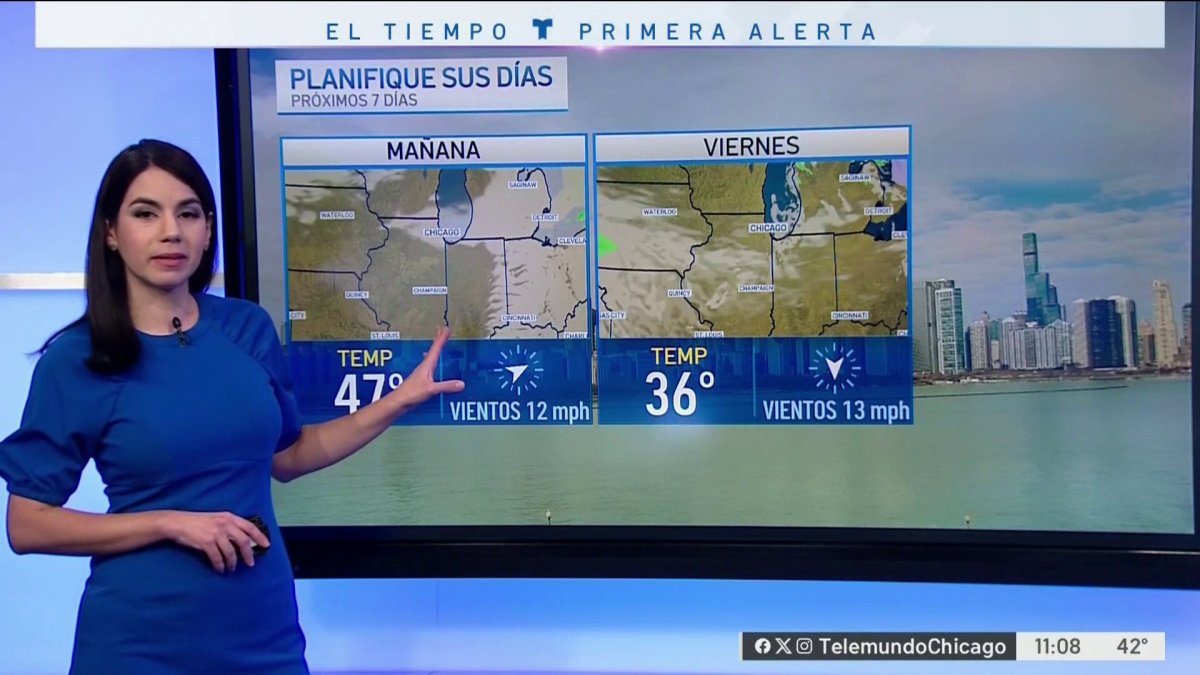 Conoce las condiciones para los días de celebración de Acción de ...