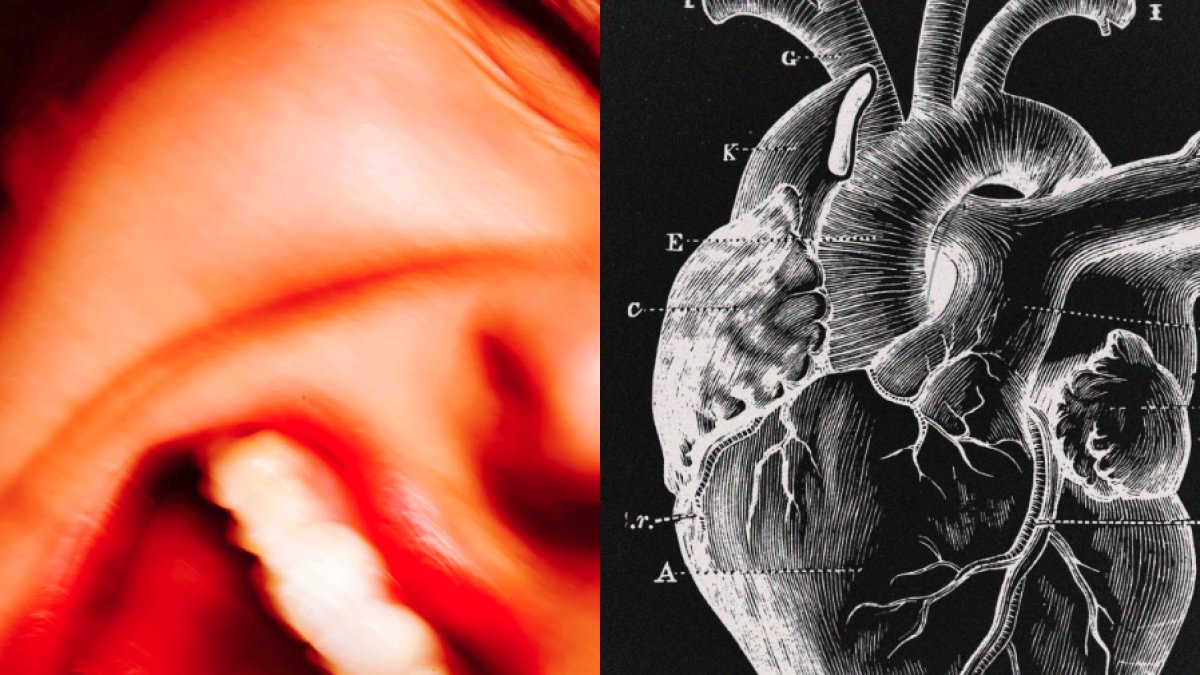 Estados Unidos: investigan relación entre la ira y los infartos ...