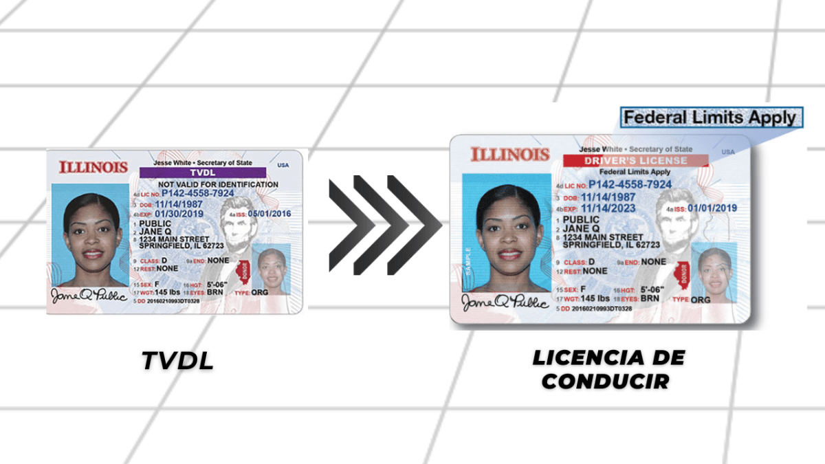 Cómo cambiar a la nueva licencia de conducir para indocumentados – Telemundo Chicago
