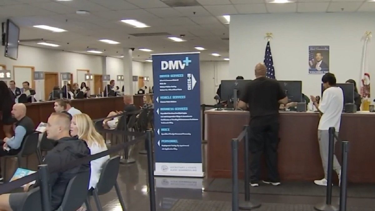 Northwest Detroit Plus Dmv