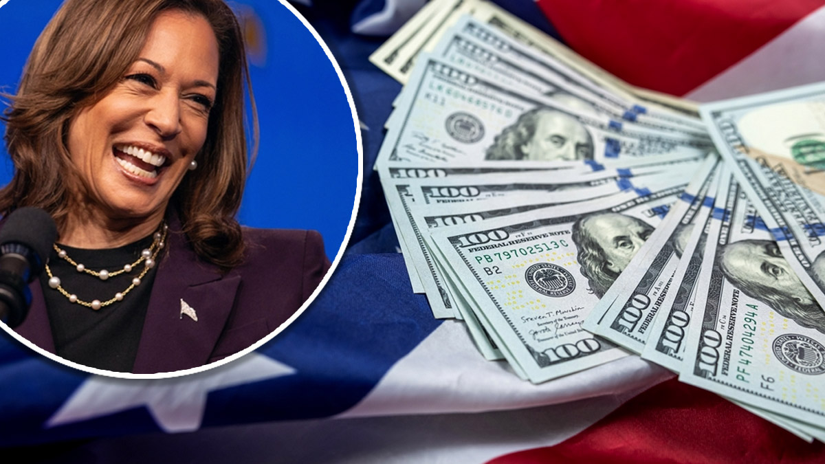 Kamala Harris: detalles sobre su plan económico – Telemundo Chicago