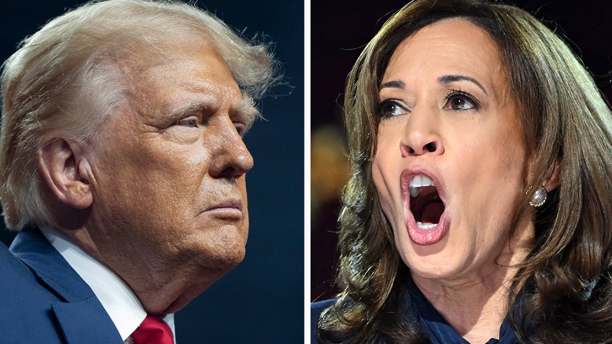 Trump o Harris: quién ganó el voto popular en las elecciones ...