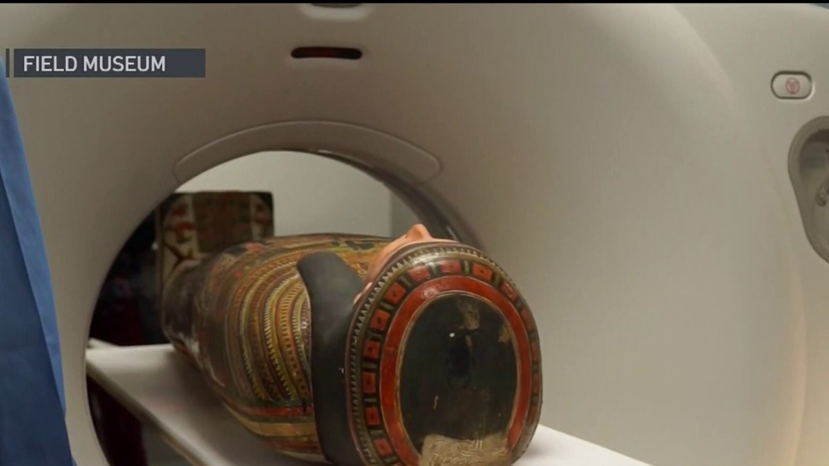 Rayos x revelan las momias que están en el Museo Field – Telemundo Chicago