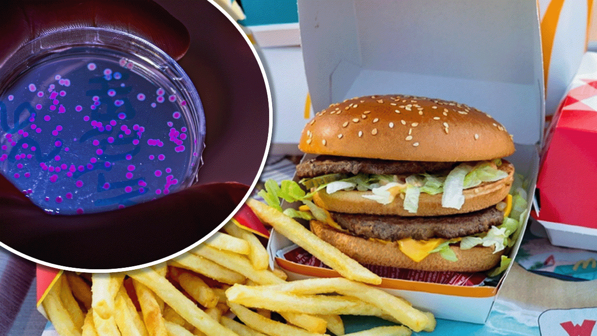 Lo que debes saber de brote de E. coli vinculado a McDonald’s ...