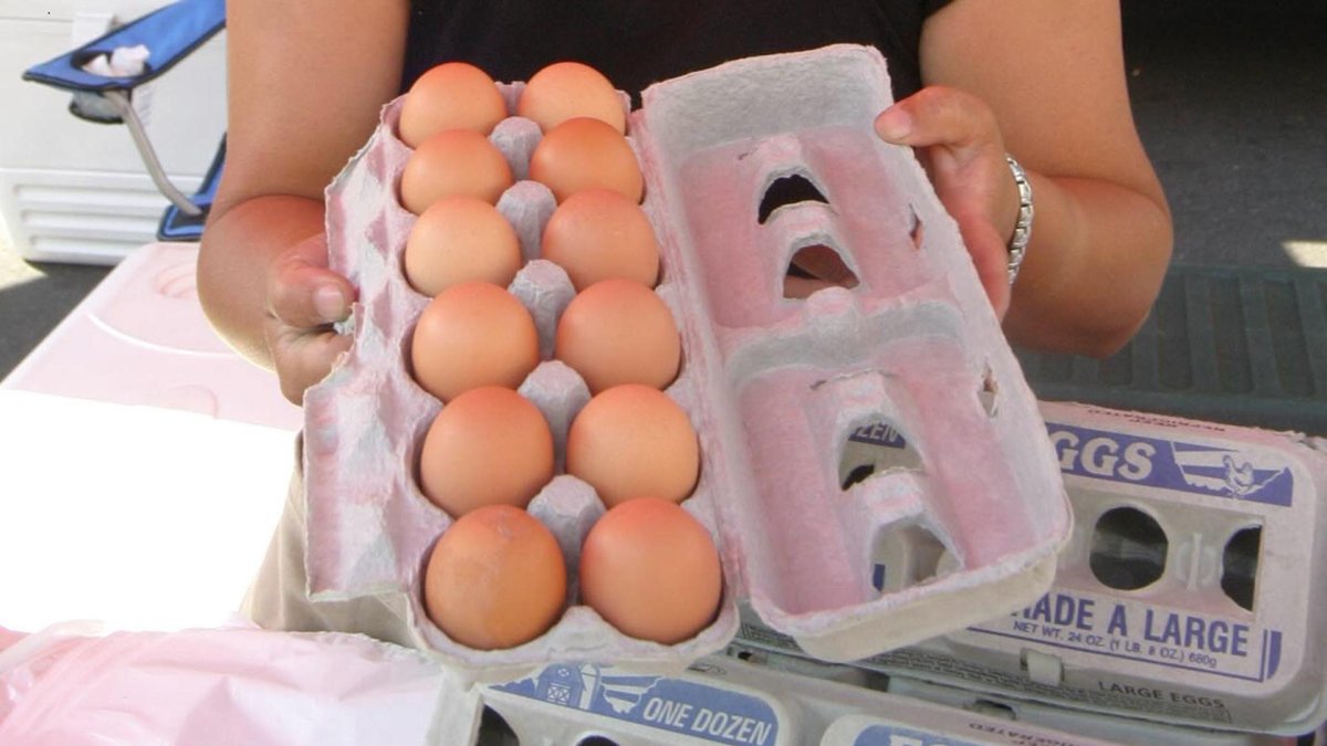 El precio de una docena de huevos en EEUU alcanza casi $5 – Telemundo ...