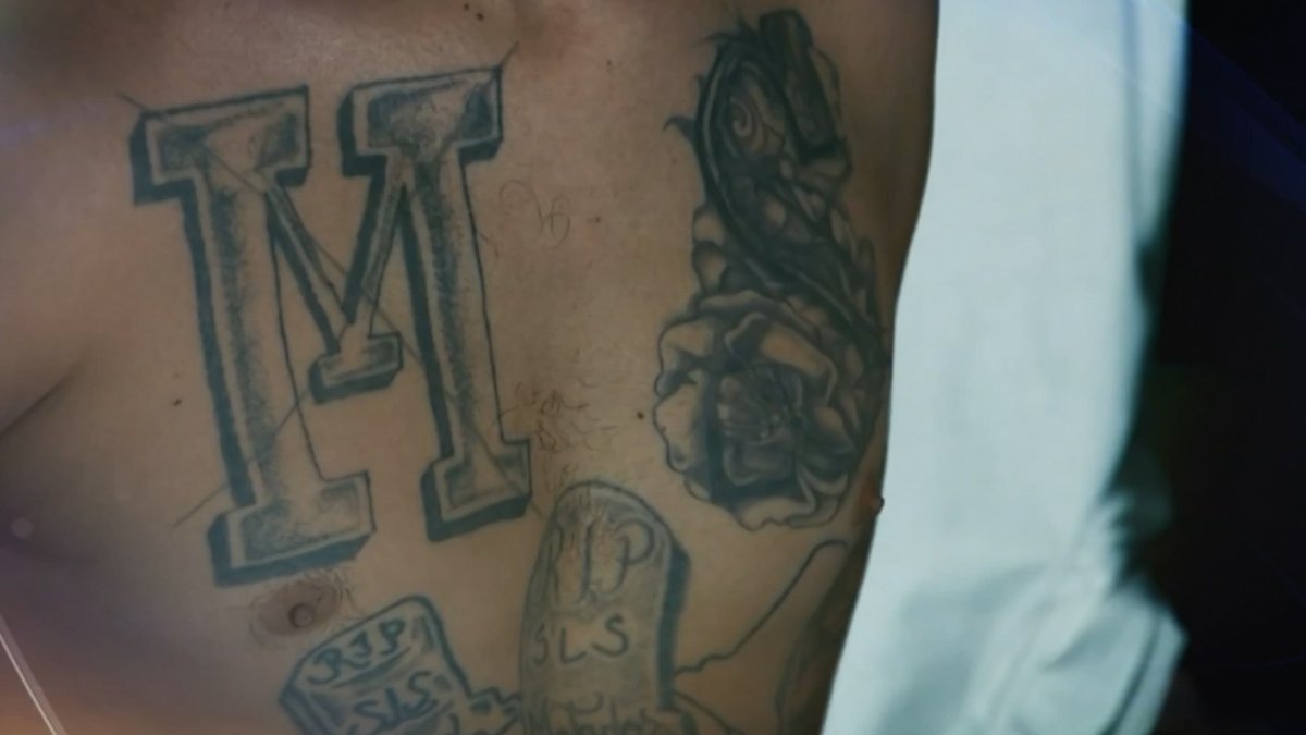 Qué es la MS-13: lo que debes saber sobre esta pandilla – Telemundo Chicago