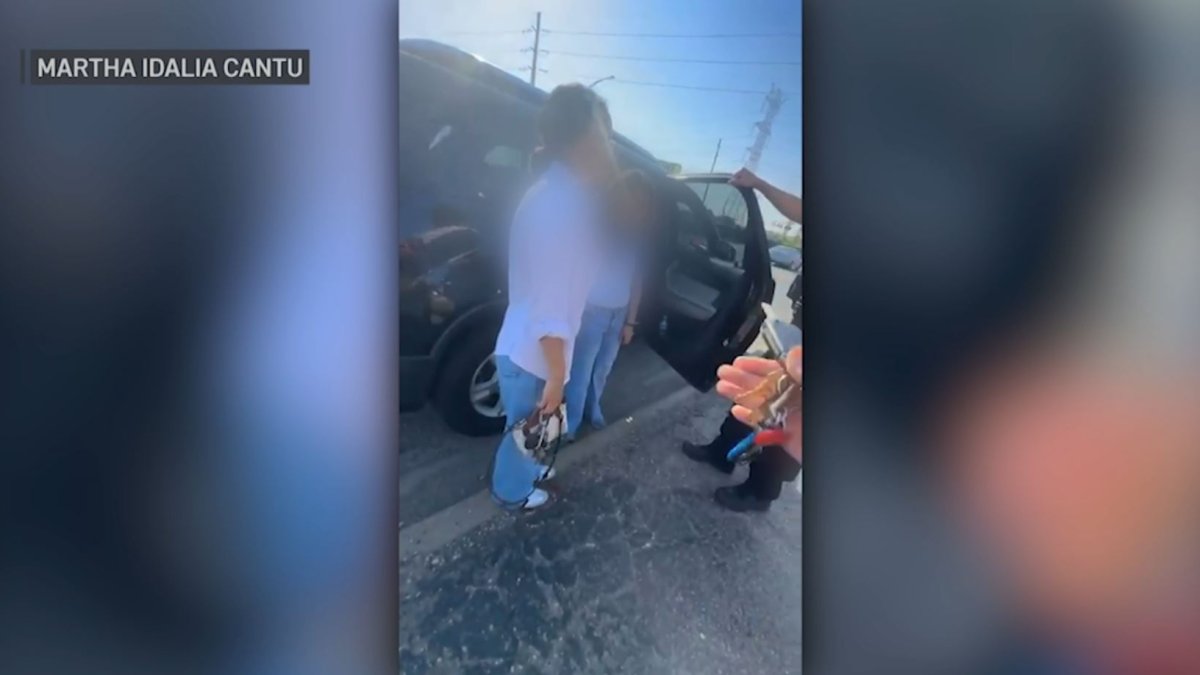 Circula video de presunto arresto de ICE al suroeste de Chicago ...