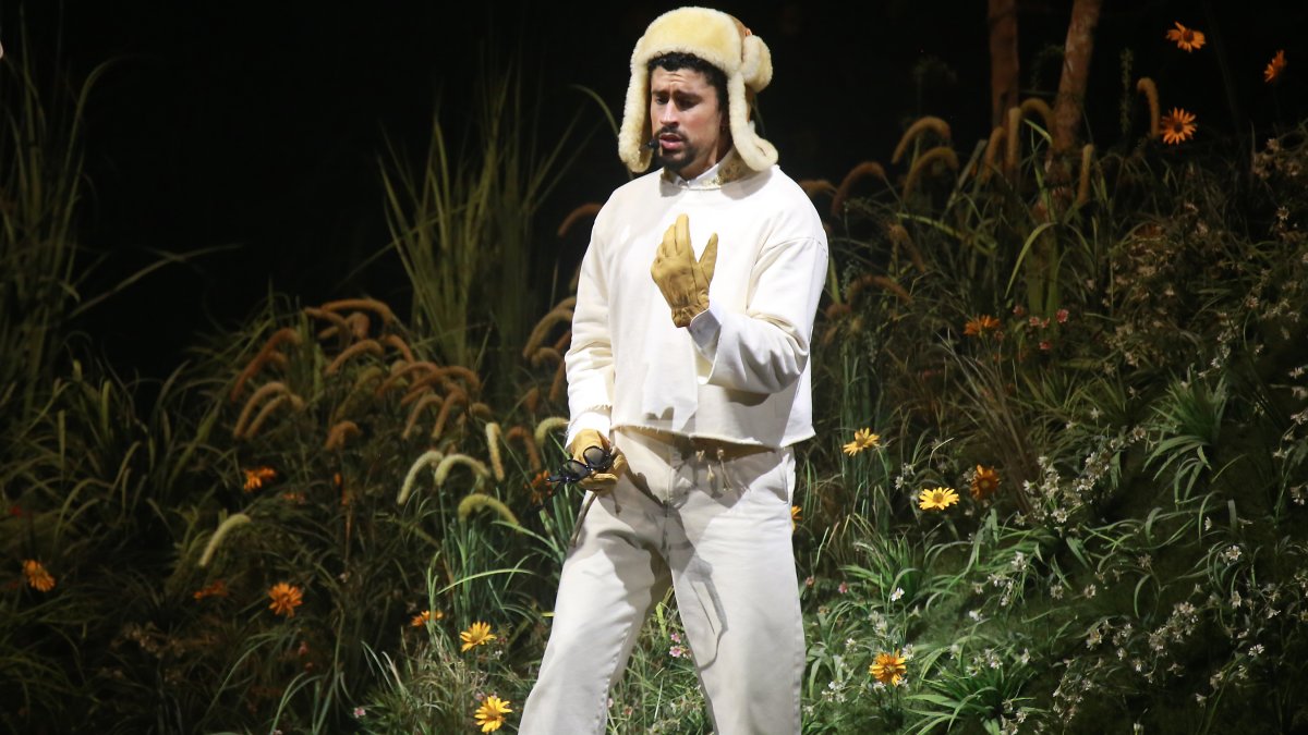 Expertos hablan del fenómeno de Bad Bunny y la cultura latina ...