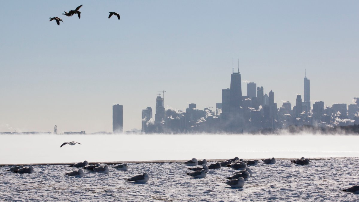 Frío extremo: en partes de Chicago se siente como -40 F – Telemundo Chicago